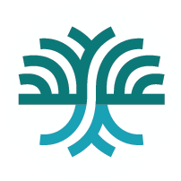 Blog | Finding My Path in Data Science